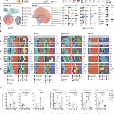 A Umap Plot Of Subclustered T B Nk And Myeloid Cells Labeled In Download Scientific Diagram