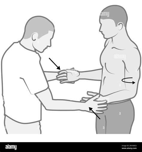 The External Rotation Test Is A Clinical Examination Technique Used By Healthcare Professionals