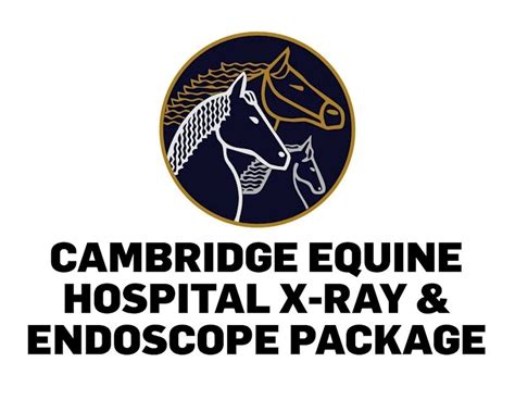 Lot 12 Im Thunderstruck Shocking Primadonna Girl