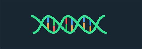 Github Igem Aachenwiki2021 Igem Aachen 2021 Wiki Page