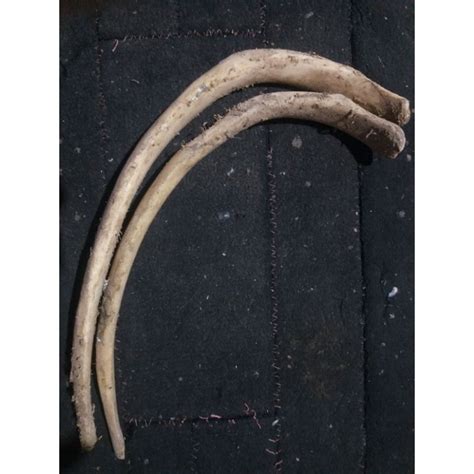 Original Super Original Iga Material Shopee Malaysia