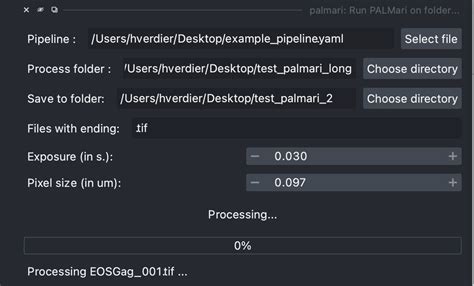 Napari Plugin Palmari Documentation