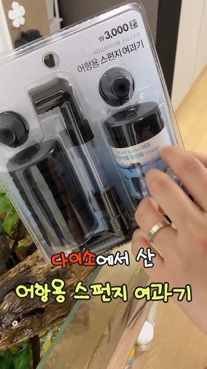 다이소에서 산 스펀지 여과기 설치하기 🧽 과연 여과가 더 잘 될까요 Youtube