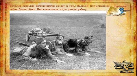 презеннтация животные войны презентация онлайн