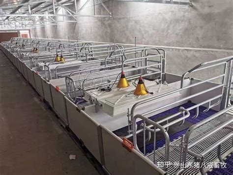 养猪场欧式产床下面的粪很难清理吗 知乎