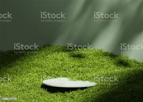 3d 디스플레이 연단 녹색 배경 자연 녹색 잔디와 태양 그림자 자연 최소한의 받침대 아름다움 화장품 프리젠 테이션 봄 여름 풍경