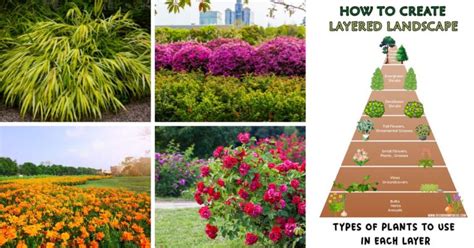 How To Create Layered Landscape In Your Garden Types Of Plants To Use