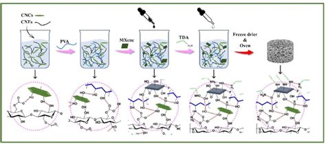 Preparation Of Superhydrophobic And Cross Linked Cpmt Cryogel Download Scientific Diagram