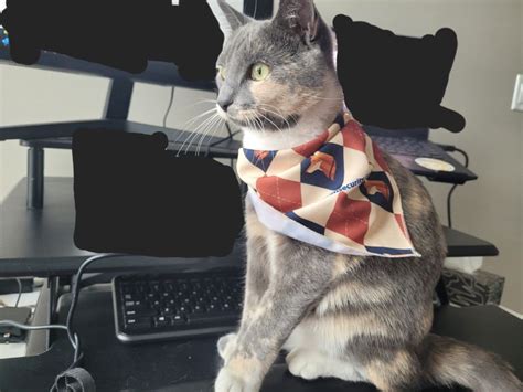 Beauceron Security On Linkedin We Have Had An Influx Of New Employees