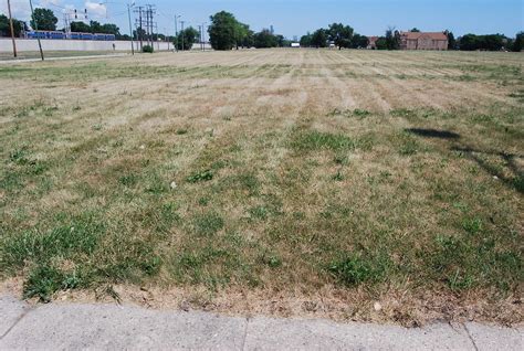 Dantrell Daviss Instagram Twitter And Facebook On Idcrawl