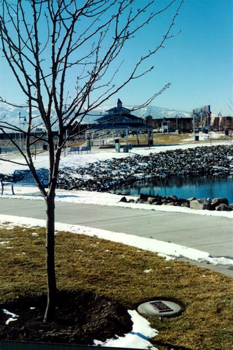 Catherine A Nardella Voices Center For Resilience