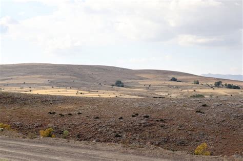Premium Photo Loneliness And Desolation Of The High Steppes