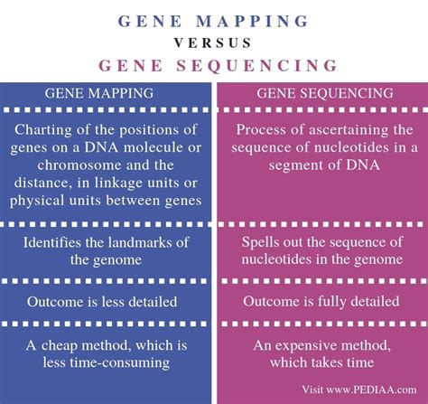 What Is The Difference Between Gene Mapping And Gene Sequencing Pediaa Com
