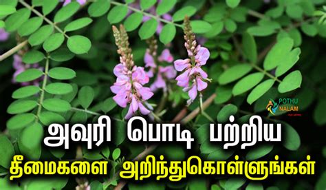 ர வரிசை சொற்கள் 50 Ra Varisai Words In Tamil