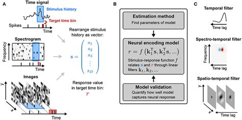 Stimulus Response Diagram