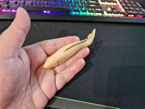 First Try At Whittling R Whittling