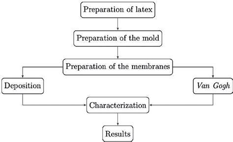 Flowchart Of The Stages Of Preparation And Characterization Of The Download Scientific Diagram