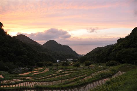 3312 石部棚田の夕景 松崎町
