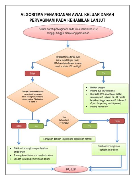 Algoritma Penanganan Awal Keluar Darah Pervaginam Pada Kehamilan Lanjut Pdf