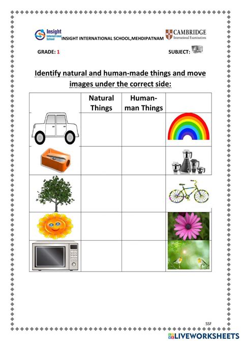 Human Made Items