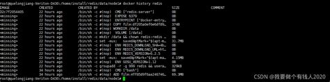 基于docker搭建redis集群，以及waiting for the cluster to join等问题分析、解决 csdn博客