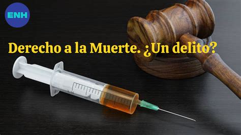 ¿es El Derecho A La Muerte Un Delito Alina Rubi