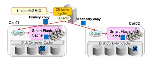 Smart Flash Cache on Exadata 3 Write back 世间所有相遇都是久别重逢 Lunar的oracle实验室