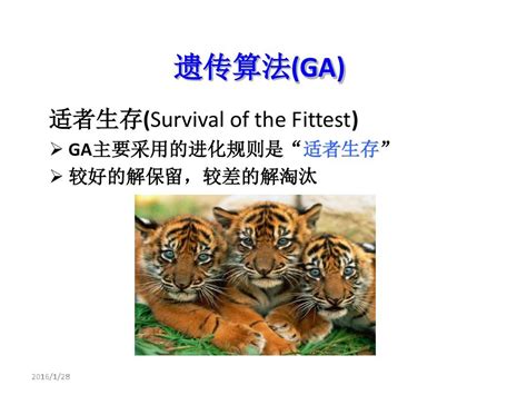 遗传算法 Genetic Algorithm Word文档在线阅读与下载 无忧文档