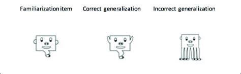Example Of Generalization And Identification Test Trials For The