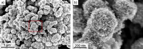 A Sem Micrographs Of The Pristine Iro2 Tio2 Catalyst Powder Employed Download Scientific