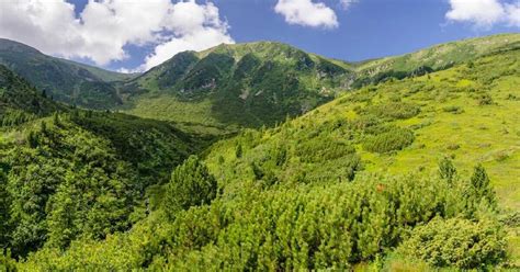 Незаконний перетин кордону з Румунією Цензор НЕТ