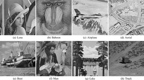 The Standard Gray Scale Test Images Download Scientific Diagram