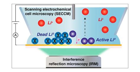 High Throughput Combinatorial Analysis Of The Spatiotemporal Dynamics Of Nanoscale Lithium Metal