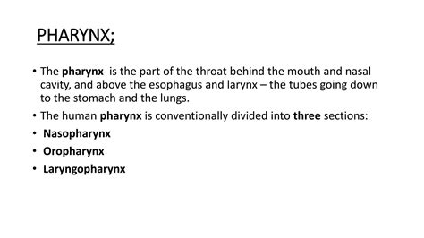 Histology Of Pharynx And Larynx Ppt