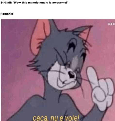 Thats Trashy Gypsy Music Bruh Dont Listen To It Rromemes