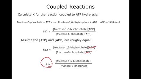 Coupling Reactions Definition Biology At Murray Baxter Blog