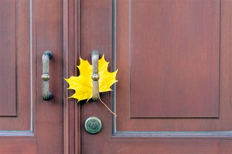 Images De Feuille Porte Téléchargement Gratuit Sur Freepik