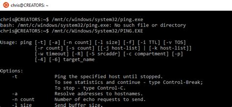 como executar programas do windows a partir do bash shell do windows 10