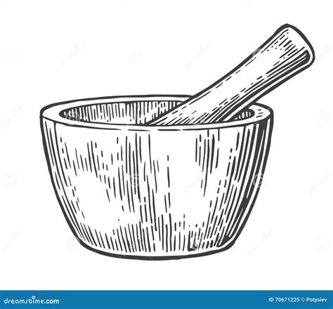 Mortar And Pestle Vintage Vector Engraved Illustration Stock Vector