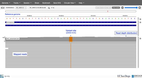 Variant Calling And Annotation