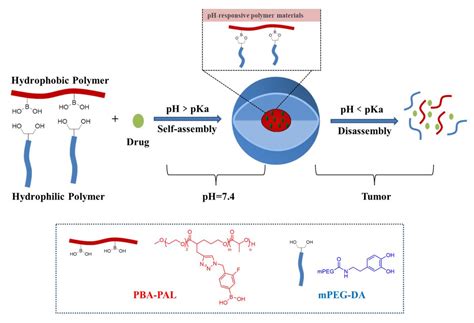 Molecules Free Full Text Efficient Ph Responsive Nano Drug Delivery