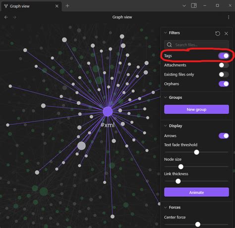 Please Support Tags In Graph View When Using The Paid Publish Feature