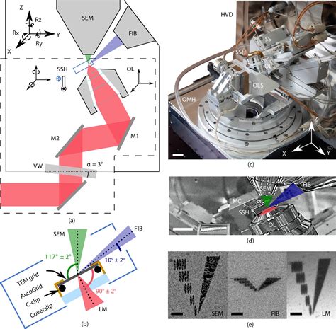 A Cryogenic Coincident Fluorescence Electron And Ion Beam Microscope Elife