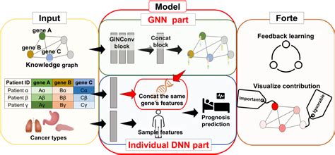 Figure 1 From An End To End Framework For Gene Expression