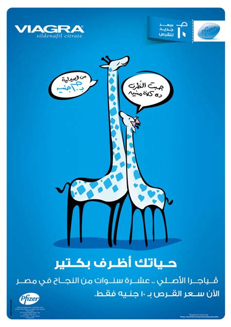 როდის არ შეიძლება ვიაგრას მიღება Netgazeti • Netgazeti Ge