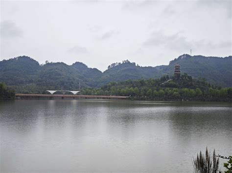 Hjjkk 的想法 在某些情况下，知识或者信息少的人可能还 知乎