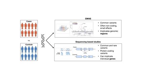 Breaking New Ground In Medical Research Integration Of Uk Biobank Genomics And Olink Proteomics