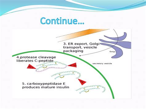 Post Translational Modification Pptx Biological Sciences Science