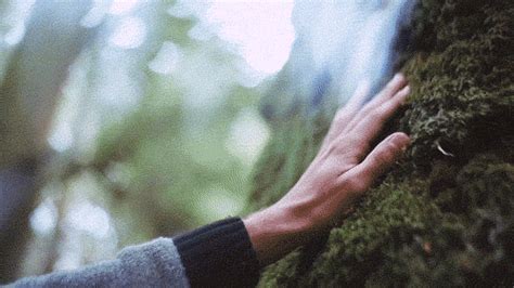 Extroverted Sensing Se S Tumbex