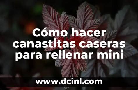 Cómo Hacer Canastitas Caseras Para Rellenar Mini 5 Ejemplos